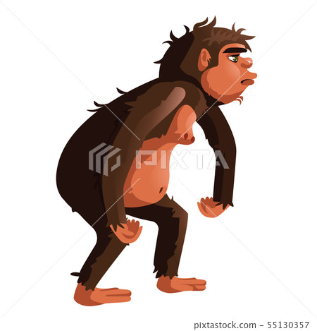 Ancient monkey, human ancestor illustration - Stock Illustration ...