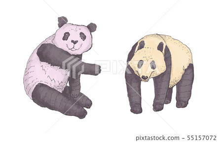 hand drawn animal couple - Stock Illustration [55157072] - PIXTA