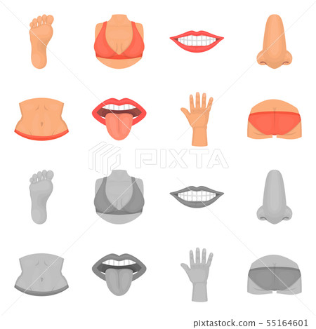 Vector design of body and part logo. Set of... - Stock Illustration ...