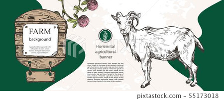 Horizontal agricultural banner. Goat, wooden... - Stock Illustration ...