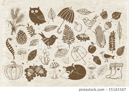 Autumn doodle collection. Fall illustration....-插圖素材 [55183387] - PIXTA圖庫
