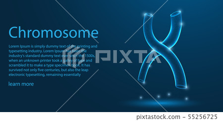 Human Chromosome. X-shaped structure.low poly - Stock Illustration ...