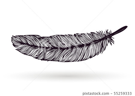 Hand drawn ink feather - Stock Illustration [55259333] - PIXTA