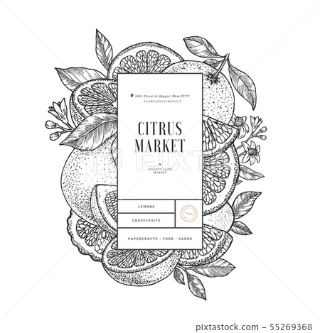Citrus design template - Stock Illustration [55269368] - PIXTA