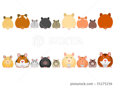 Before and after the cute hamster border - Stock Illustration [55275256 ...