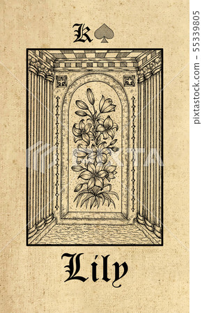Lily. Lenormand tarot oracle card. - Stock Illustration [55339805] - PIXTA