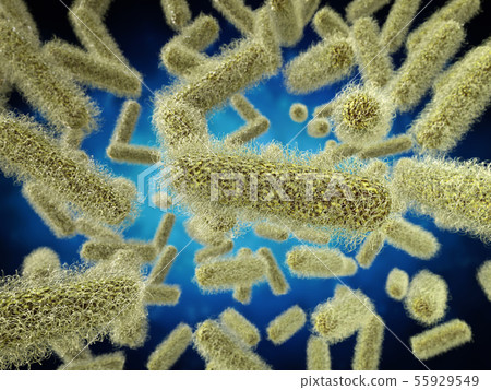 stick shape bacteria cells - Stock Illustration [55929549] - PIXTA