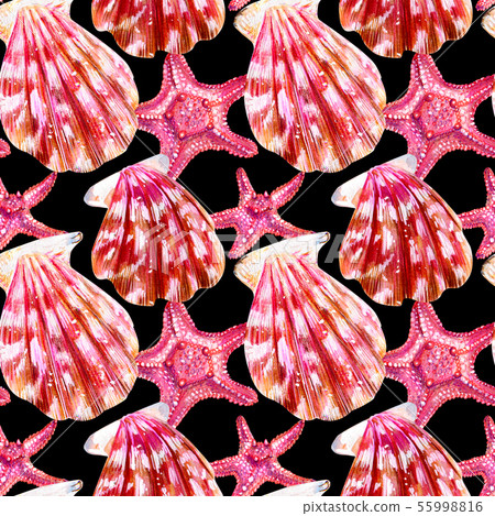 Seamless pattern of scallop shells. - Stock Illustration [55998816] - PIXTA