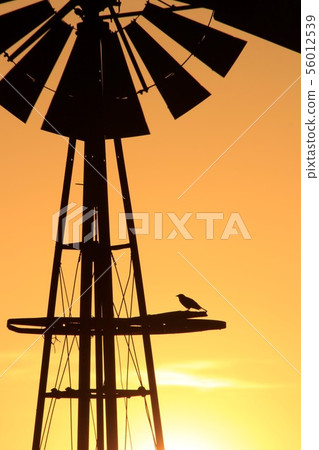 Windmill Silhouette Sunset with a bird - Stock Illustration [56012539] - PIXTA
