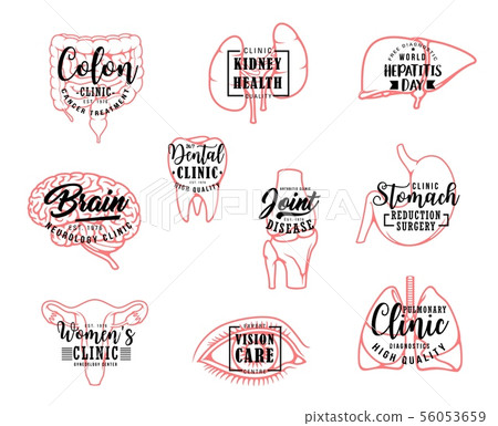 Medical lettering, body organs line icons - Stock Illustration ...