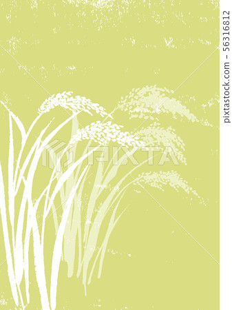 Rice watercolor painting - Stock Illustration [56316812] - PIXTA