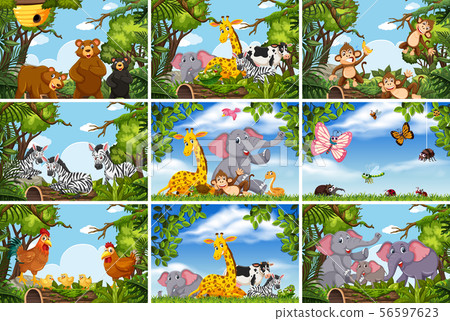Set of various animals in nature scenes - Stock Illustration [56597623 ...