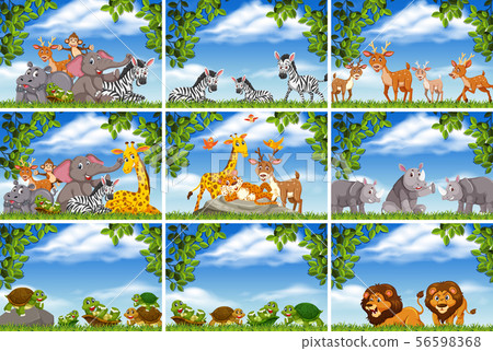 Set of various animals in nature scenes - Stock Illustration [56598368 ...