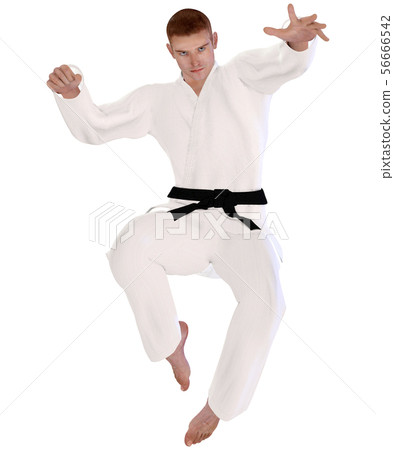 Karate house - Stock Illustration [56666542] - PIXTA