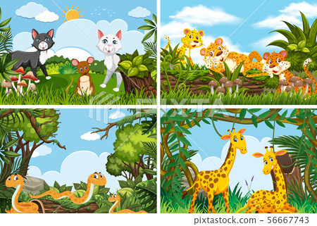 Set of various animals in nature scenes - Stock Illustration [56667743 ...