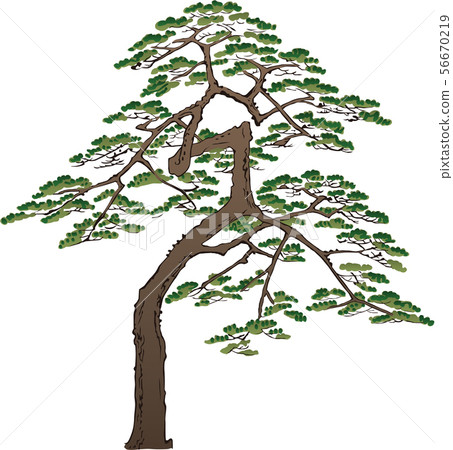 Ukiyoe Pine 6 - Stock Illustration [56670219] - PIXTA