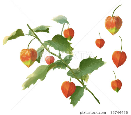 Onikoro Hara - Stock Illustration [56744456] - PIXTA