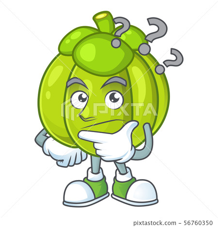 Thinking green pumpkin ripe on a white background - Stock Illustration ...