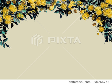 Mocco rose frame design - Stock Illustration [56766732] - PIXTA