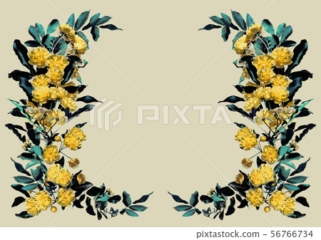 Mocco rose frame design - Stock Illustration [56766734] - PIXTA