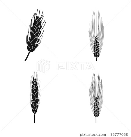 Vector design of rye and plant sign. Collection... - Stock Illustration ...