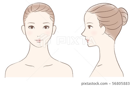Female front & profile set - Stock Illustration [56805883] - PIXTA