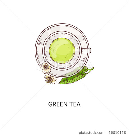 Green tea drawing - top view of a glass cup...-插圖素材 [56810158] - PIXTA圖庫