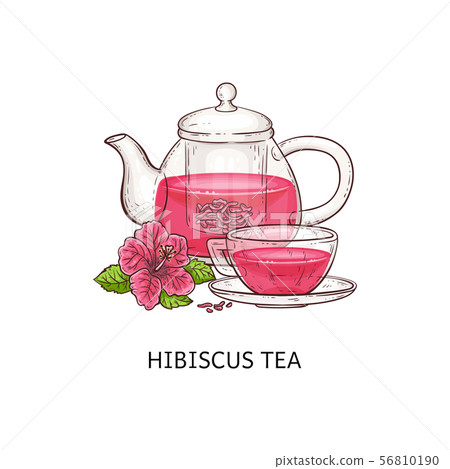 Hibiscus tea - pink drink in glass cup and... - Stock Illustration ...