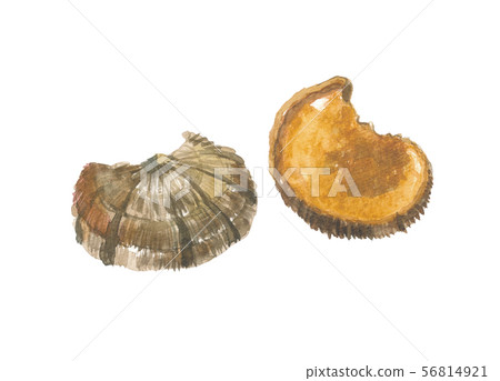 Meshimakobu - Stock Illustration [56814921] - PIXTA