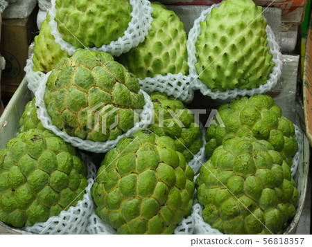 Taiwanese fruit Shakato Banreishi - Stock Photo [56818357] - PIXTA