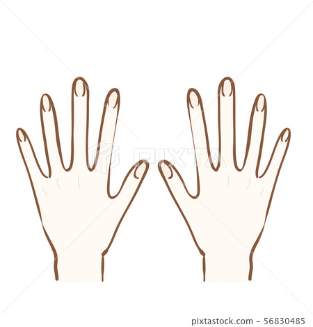 Illustration of back of hand - Stock Illustration [56830485] - PIXTA