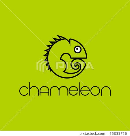 chameleon design template - Stock Illustration [56835756] - PIXTA