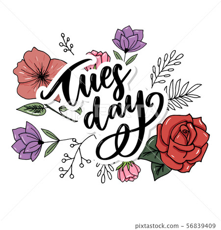 Hello Tuesday words. Hand drawn ink lettering. - Stock Illustration ...