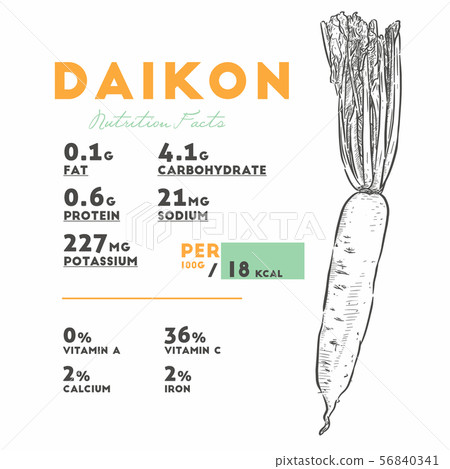 Nutrition facts of daikon. Hand draw sketch - Stock Illustration ...