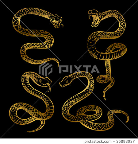 Golden snake set. Hand drawn snakes - Stock Illustration [56898057] - PIXTA