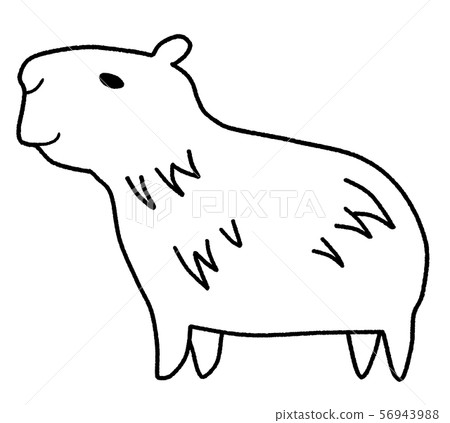 Capybara line drawing illustration - Stock Illustration [56943988] - PIXTA