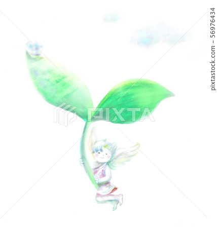 Futaba Fairy Water Drop - Stock Illustration [56976434] - PIXTA