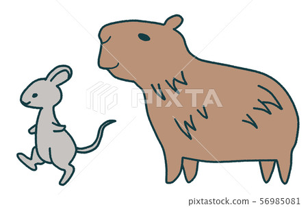 Mouse Capybara - Stock Illustration [56985081] - PIXTA