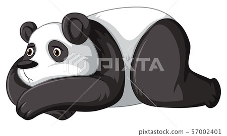 Sad panda on white background - Stock Illustration [57002401] - PIXTA
