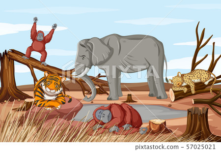 Deforestation scene with dying animals in drought - Stock Illustration ...