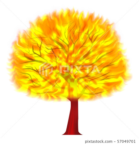Burning tree - Stock Illustration [57049701] - PIXTA