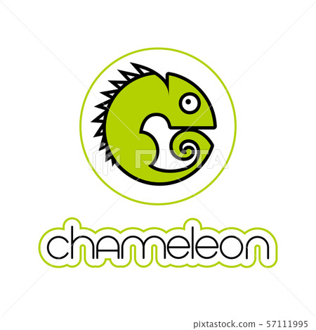 chameleon design template - Stock Illustration [57111995] - PIXTA