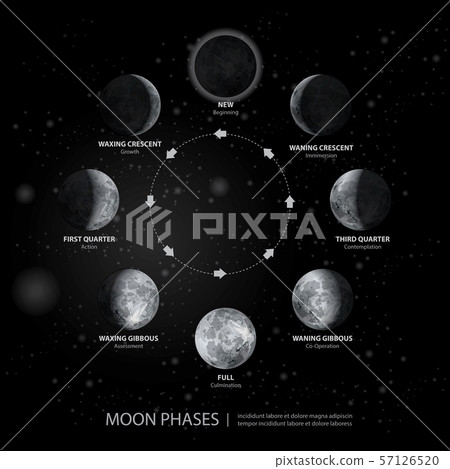 Movements of the Moon Phases Realistic Vector... - Stock Illustration ...