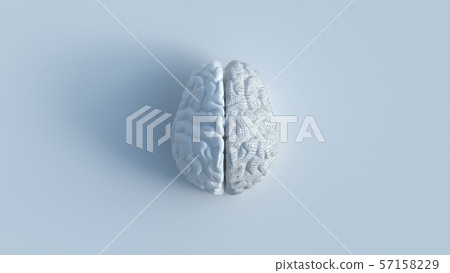 2 sides of human brain concept minimalist - Stock Illustration ...