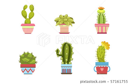 Cactus and Succulents in Flower Pots Set,... - Stock Illustration ...
