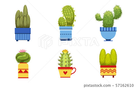 Cactus Plants in Flower Pots Set, Potted... - Stock Illustration ...