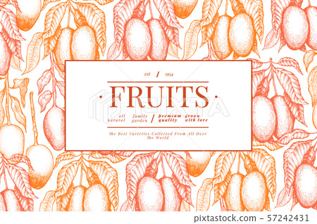Mango design template. Hand drawn vector tropic - Stock Illustration ...