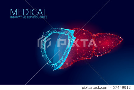 Human liver 3d protection shield medicine low... - Stock Illustration ...