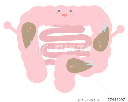 Comfortable cute large intestine - Stock Illustration [57452997] - PIXTA
