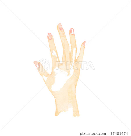 Female hand, back of hand - Stock Illustration [57481474] - PIXTA